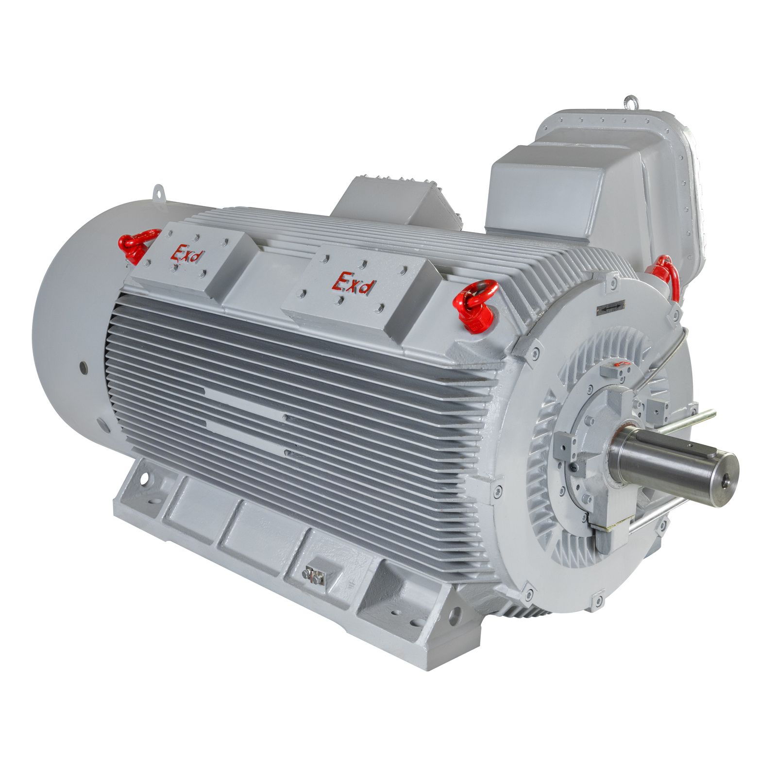 Электродвигатель ESQ M 400-SDN 6,0-400/3000-EP-A IP55 (SG) 400/3000 IM1001 купить в Санкт-Петербурге